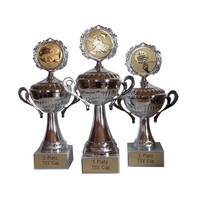 3 SERIES Sports Trophies with/Engraved Emblem and 3 Pins for over 50 ...