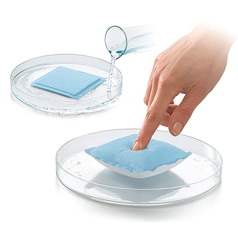 Lohmann & Rauscher Flivasorb Wound Absorbent Pad, Sterile ...