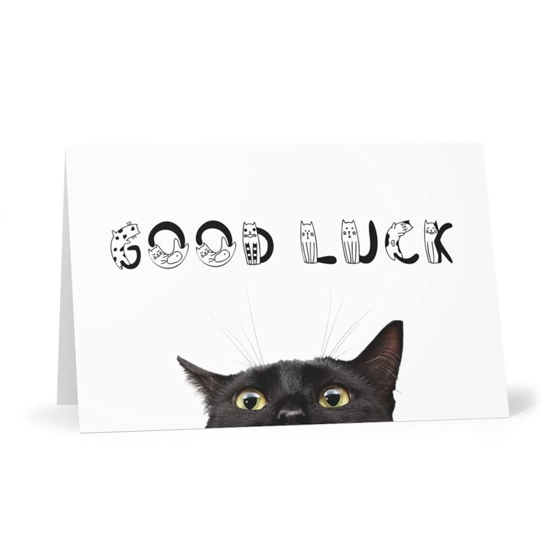 Good Luck Card from the Cat - Good Luck Greeting with Black Cat Design ...