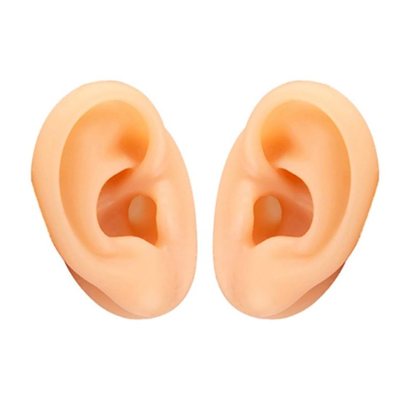 Silicone Ear Model, Both Ears, Left and Right Set, Ear Model ...