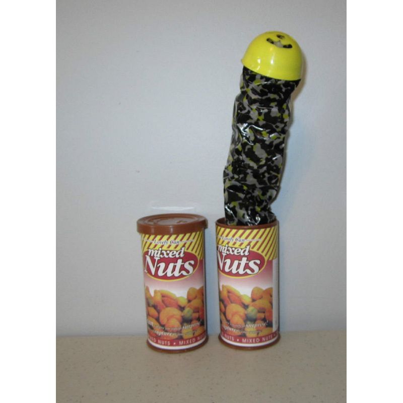 Snake In a Nut Can New Spring Loaded Trick Nuts Gag Classic Prank Noise ...