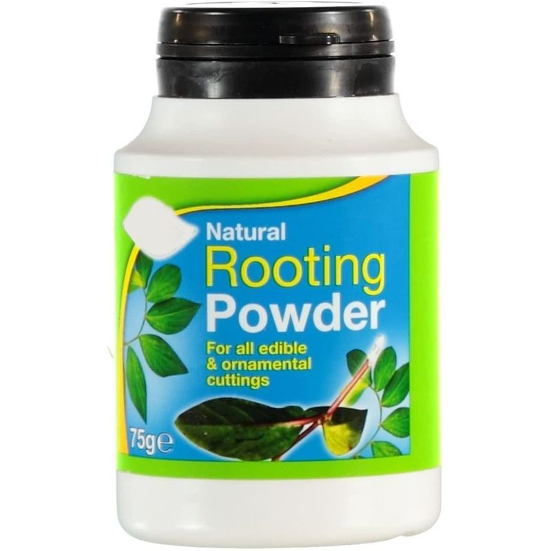 Natural Rooting powder For all kinds of plants - Online Marketplace ...