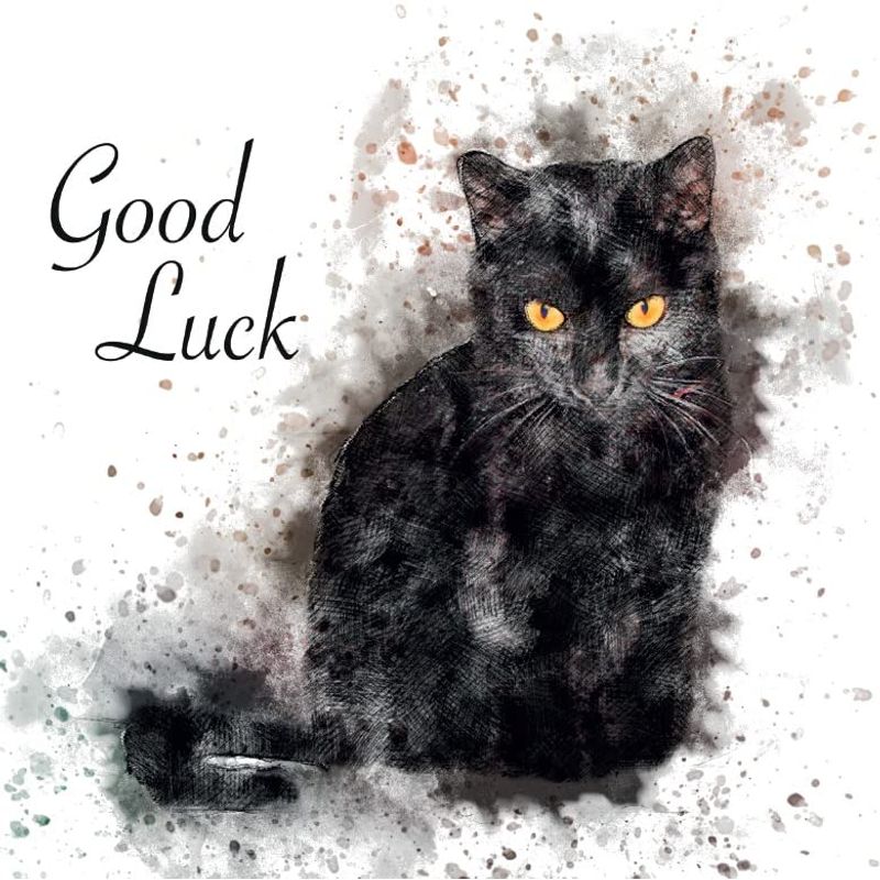 AMDT18008 'Black Cat' Good Luck Card Sized 150 x 150mm and Responsibly ...