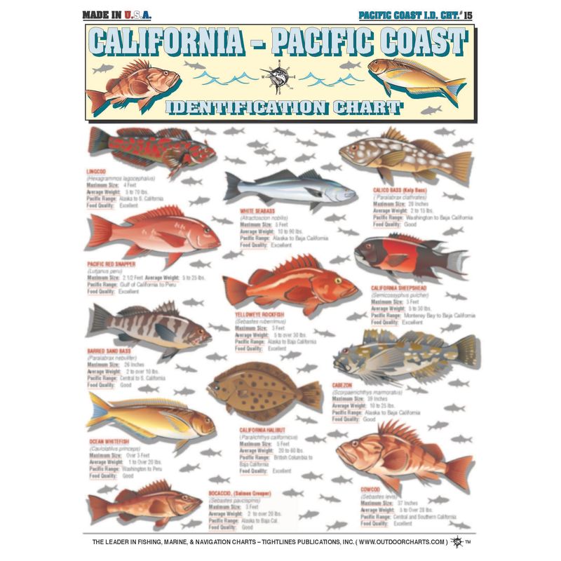 Tightlines Chart #15 - California - Pacific Ocean - Id Chart - Online ...