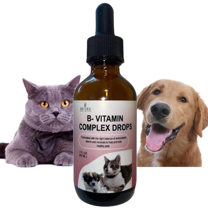 Liquid Vitamin B-12 Complex Drops for Dogs and Cats - Nutritionally ...