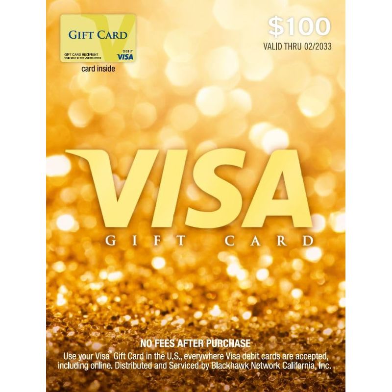 Visa $100 Gift Card (plus $5.95 Purchase Fee) - Online Marketplace - EveryMarket