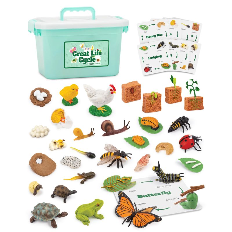 Life Cycle Science Kit Montessori Realistic Figurine, Kids Animal ...