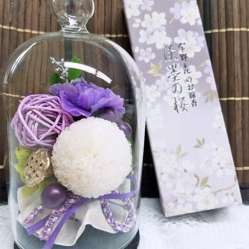 Shin Shion (1 Dome) & Incense Incense Set, Preserved Flowers, Cork ...