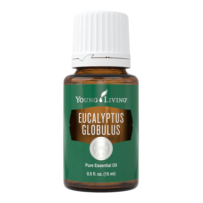 Young Living Eucalyptus Globulus Essential Oil 15ml - Pure ...