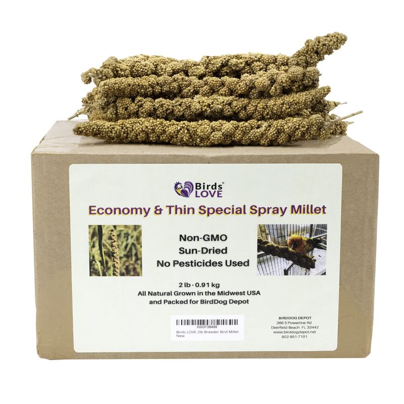 Birds LOVE Economy & Thin Special Spray Millet GMO-Free (No Stems Only ...