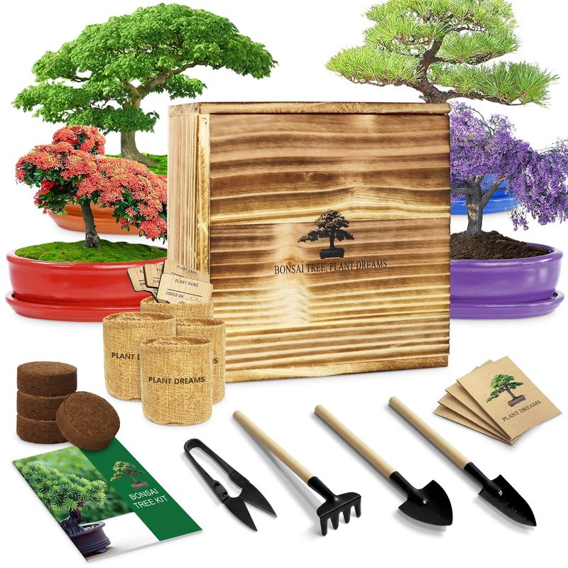 Bonsai Tree Kit, Wooden Gift Box Indoor Bonsai Tree Starter Kit with ...