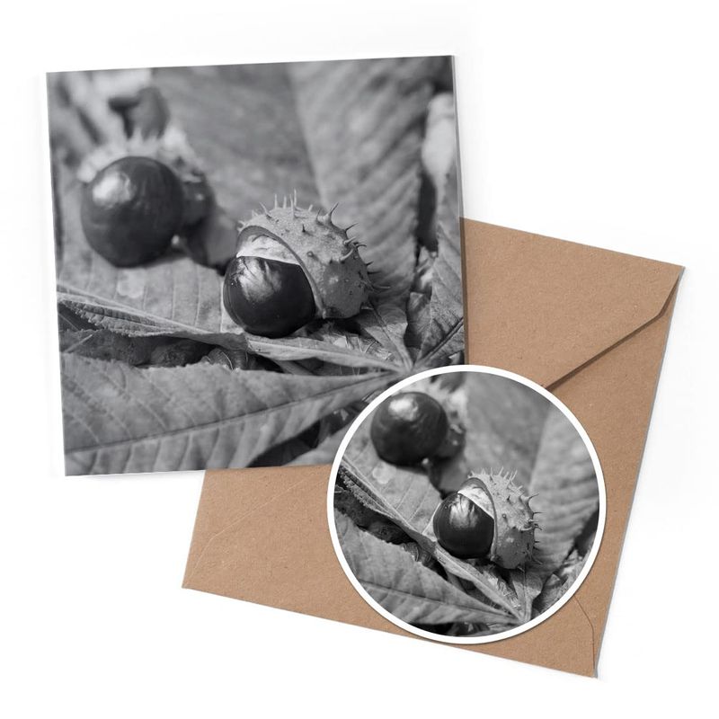 1 x Greeting Card & 10 cm Round Sticker Set - BW - Conker Horse ...