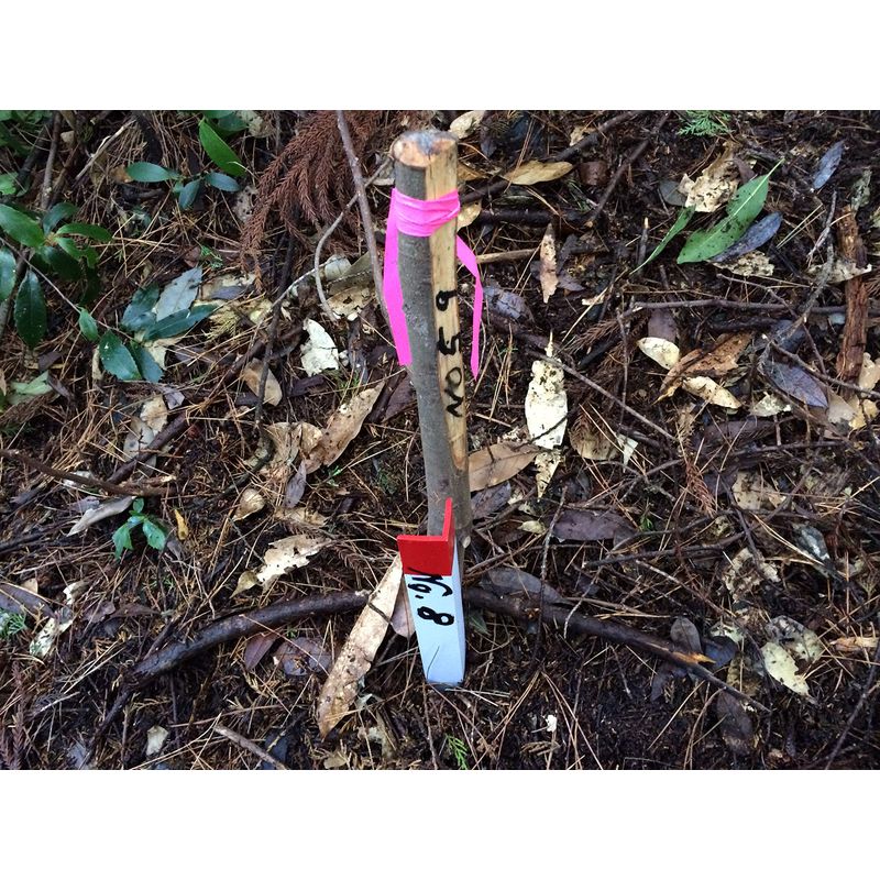 0.8 inch (20 mm) Tree Number Tape 1 Piece Tree Identification Tape ...