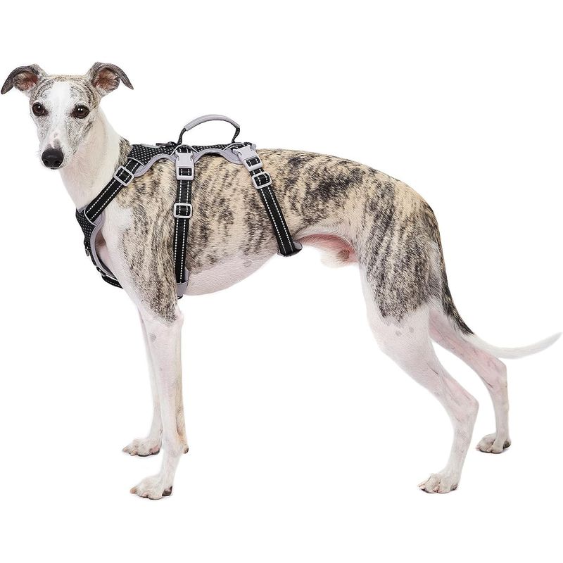 Huntboo Escape Proof Harness, No Slip Dog Harness Escape Proof,Fully ...