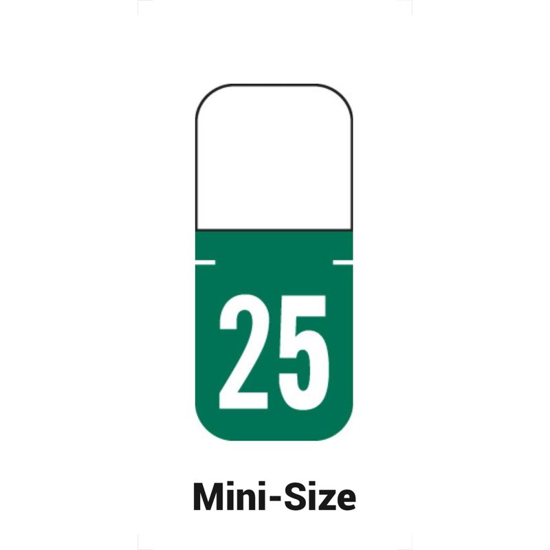 Mini 2025 Year Labels, Doctor Stuff 2025 Chart Stickers, Green Color ...