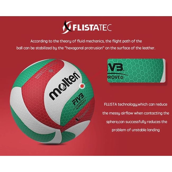 Volleyball Ball Molten