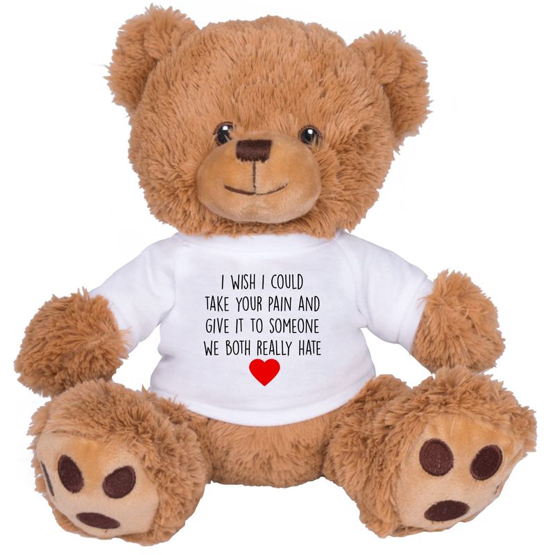 TEESANDTANKYOU Take Your Pain Bear Get Well Sick Gift: 8 Inch Brown ...