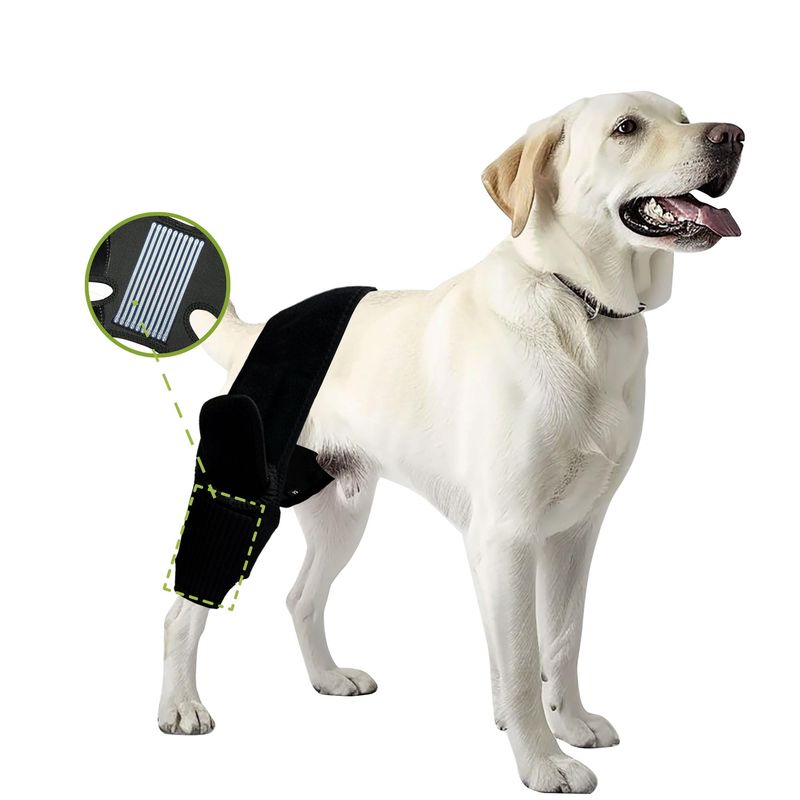 Lushnessu Dog Leg Braces for Back Leg- Dog ACL Brace for Torn and Back ...