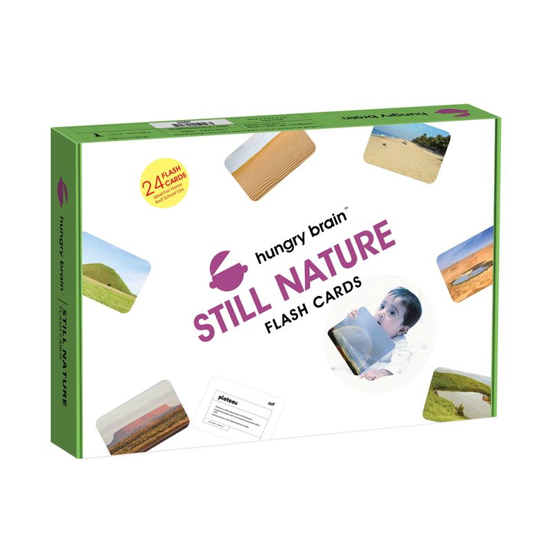 hungry brain Flash Cards for Toddlers, 24 Still Nature Flashcards ...