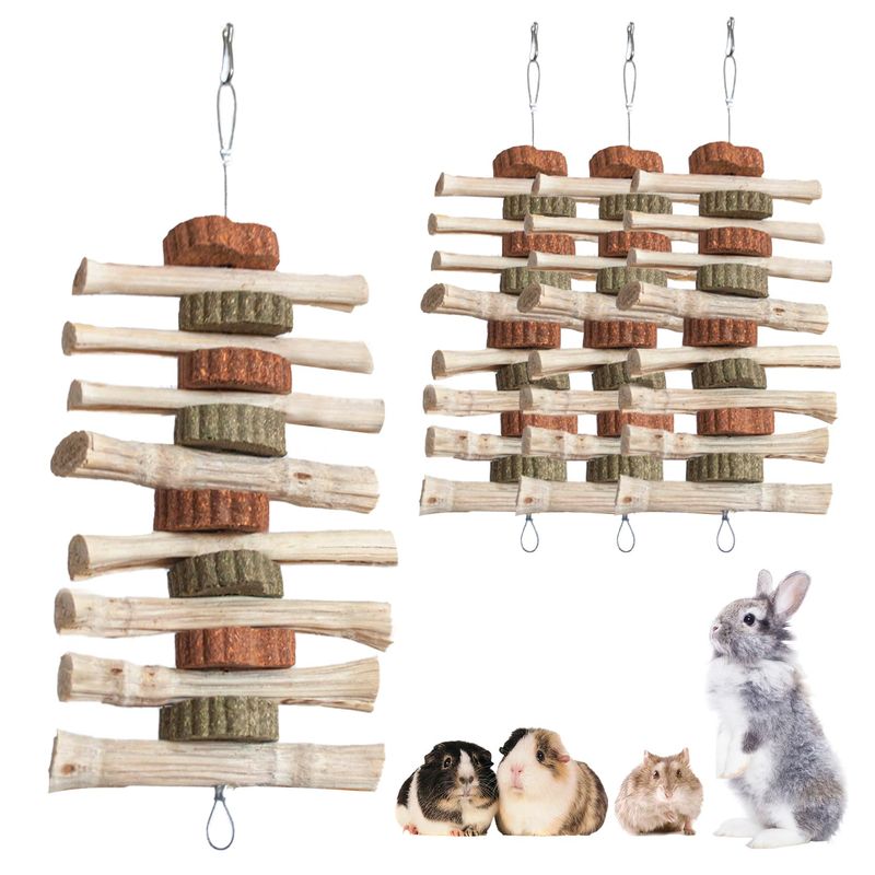 MUYG 4 PCS Rabbit Chew Toys for Teeth Grinding, Delicious Bunny Cage ...