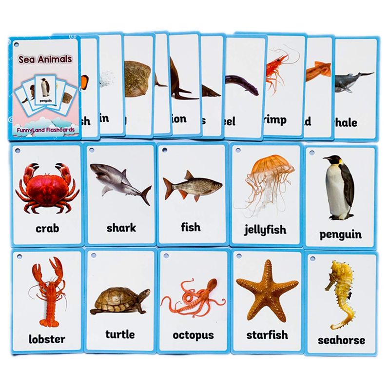 20PCS/Set Sea Animals Kids Gifts English Flash Cards Pocket Card ...