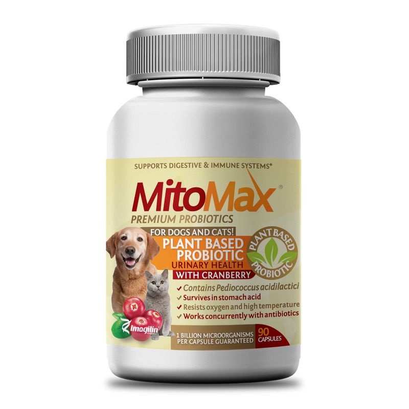 MitoMax Cranberry 90 Count Probiotic Supplement for Urinary Health of ...