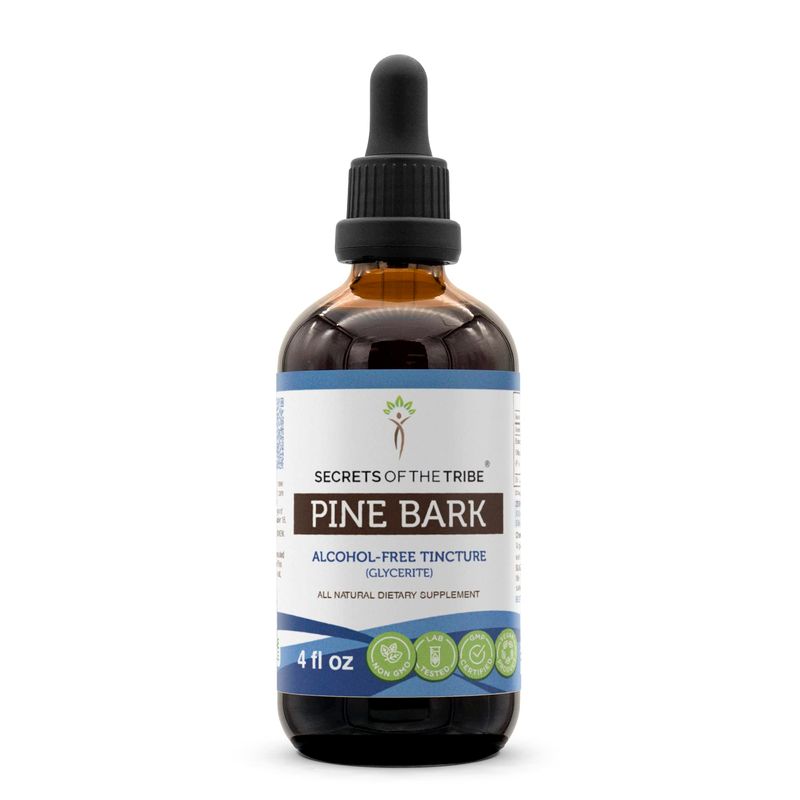 Secrets of the Tribe Pine Bark Alcohol-Free Liquid Extract, Wildcrafted ...