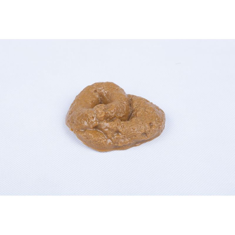 SummitLink Realistic Gross Party Pooper Fake Poo Dog Poop Novelty Toy ...