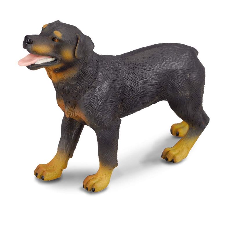 CollectA Rottweiler Figure - Online Marketplace - EveryMarket