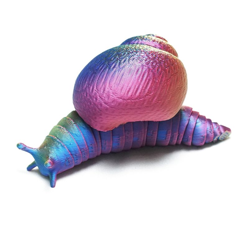 3D printed snail,articulated models,flexible joint animal model ...