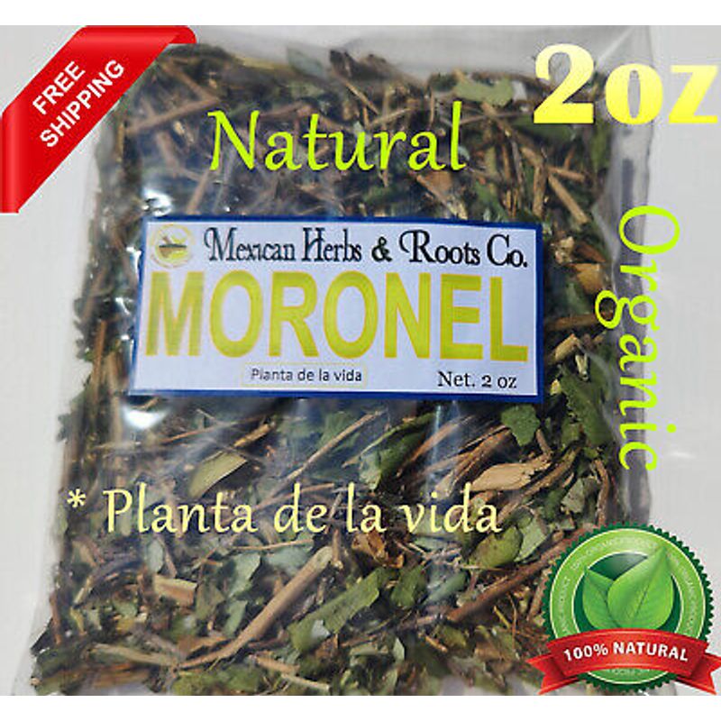 Moronel Planta de La Vida Te de moronel moronel organico hierba ...