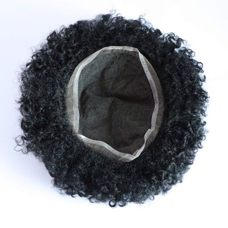 lumeng Mens Toupee Wigs Human Hair Curly Man Unit 8x10inch Afro Curl ...