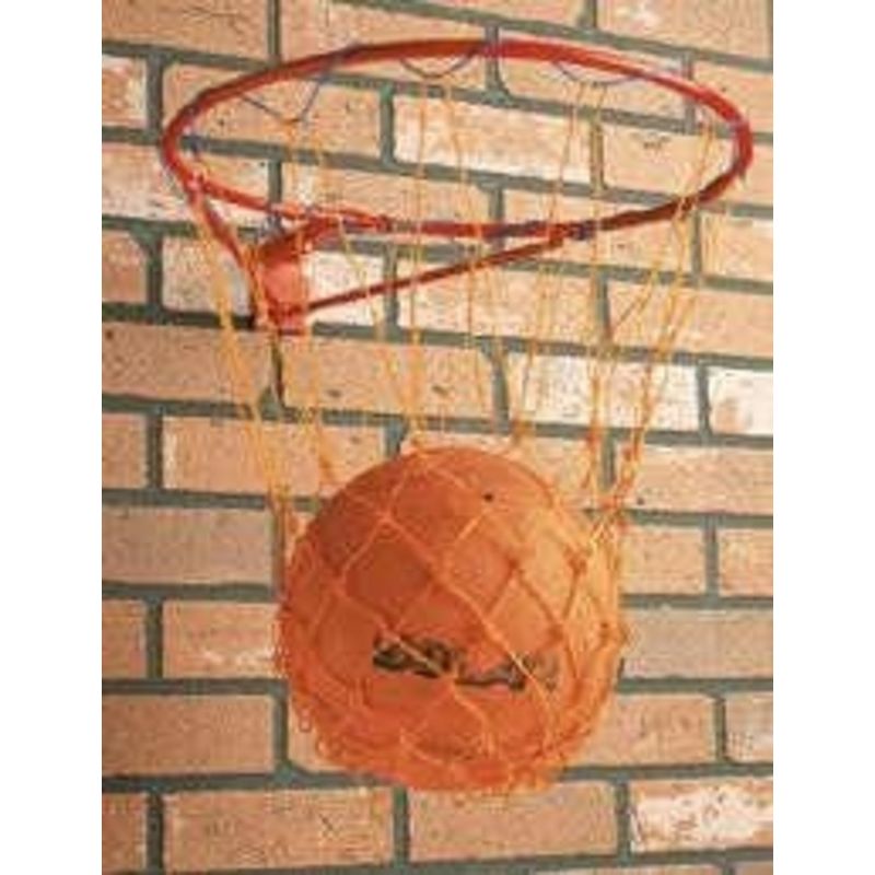 Netball Sports Outdoor Garden Games Wall Mounted Hoop Ring & Net Set ...