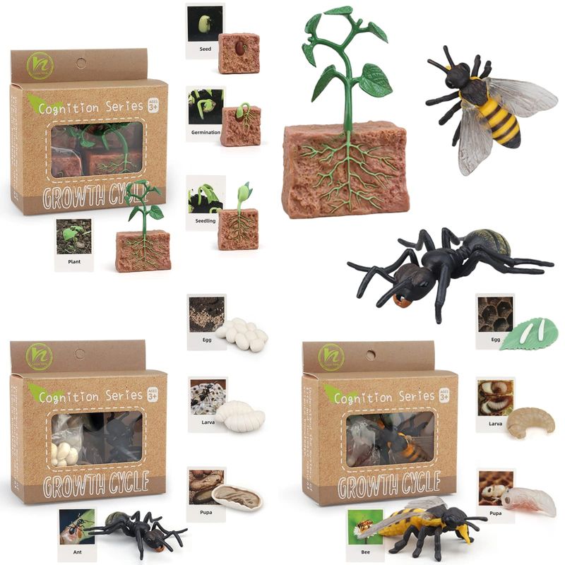 Montessori Life Cycle Animal Figurines Learning & Education Toys ...