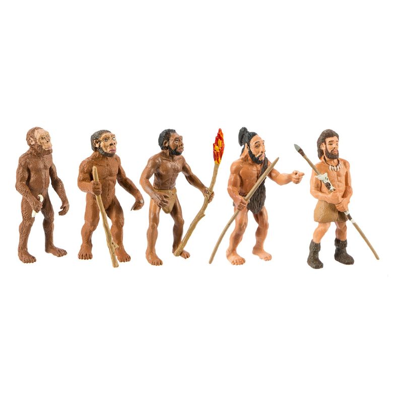 Safari Ltd. Evolution of Man Set - Detailed Educational Human Evolution ...