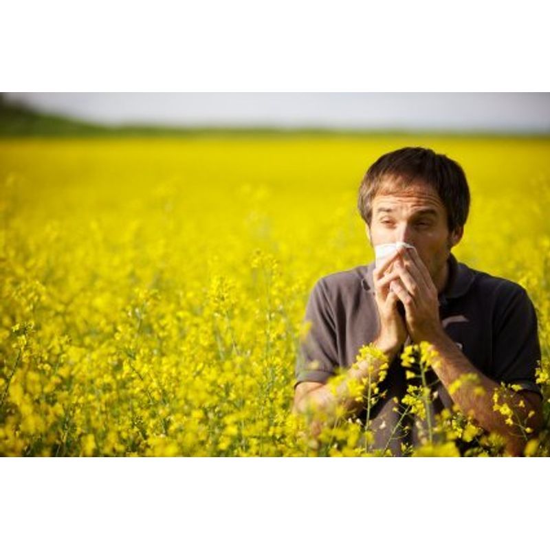 Sneezing, Coughing, Sore Eyes, If you suffer from Hay Fever, try the ...