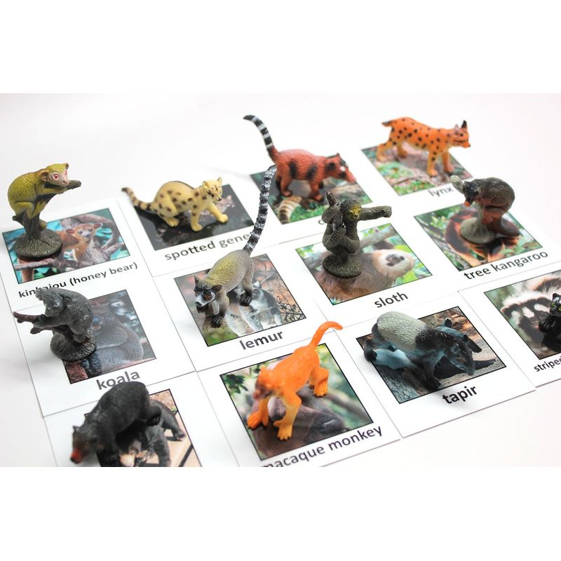 Curious Minds Busy Bags Montessori Rainforest Animal Match - Miniature ...