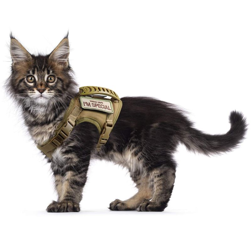 Tactical Cat Harness for Walking Escape Proof, Soft Mesh Adjustable Pet ...