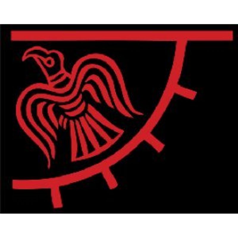 Raven Wikinger Odinic banner, 3'x5' Viking Raven FLAG - Online ...