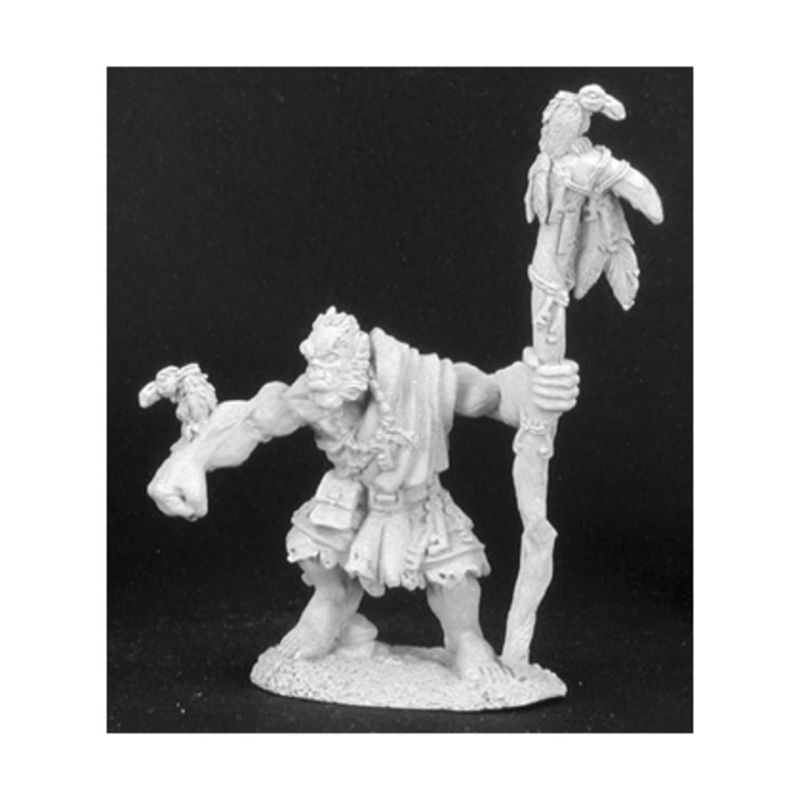 Reaper Miniatures Unpainted Quosk Ravenshire, Half-Orc Druid #02980 ...