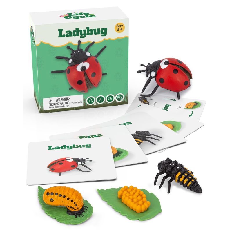Life Cycle Kit Montessori - Realistic Figurine Toys, Kids Animal ...