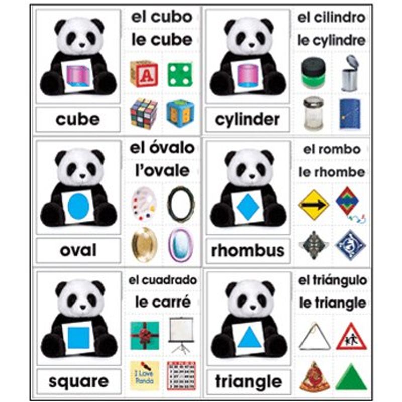 CARSON DELLOSA SHAPE BEARS LEARNING CARDS - Online Marketplace - EveryMarket