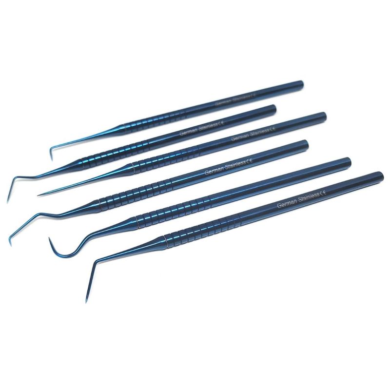 6 Professional Dental Tartar Scraper Tools Titanium Coated Single Ended ...