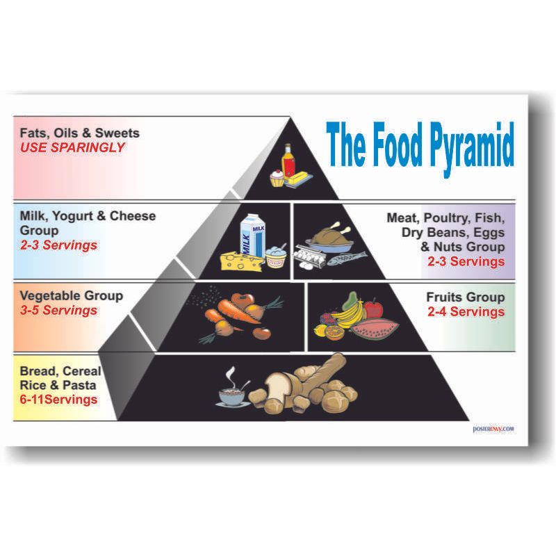 Food Pyramid Healthy Eating Lunch Meal Diet NEW POSTER - Online ...