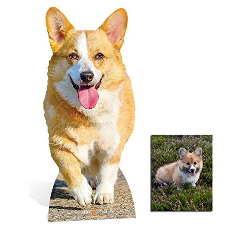 Fan Pack - Royal Corgi Dog Lifesized Mini Cardboard Cutout/Standup ...