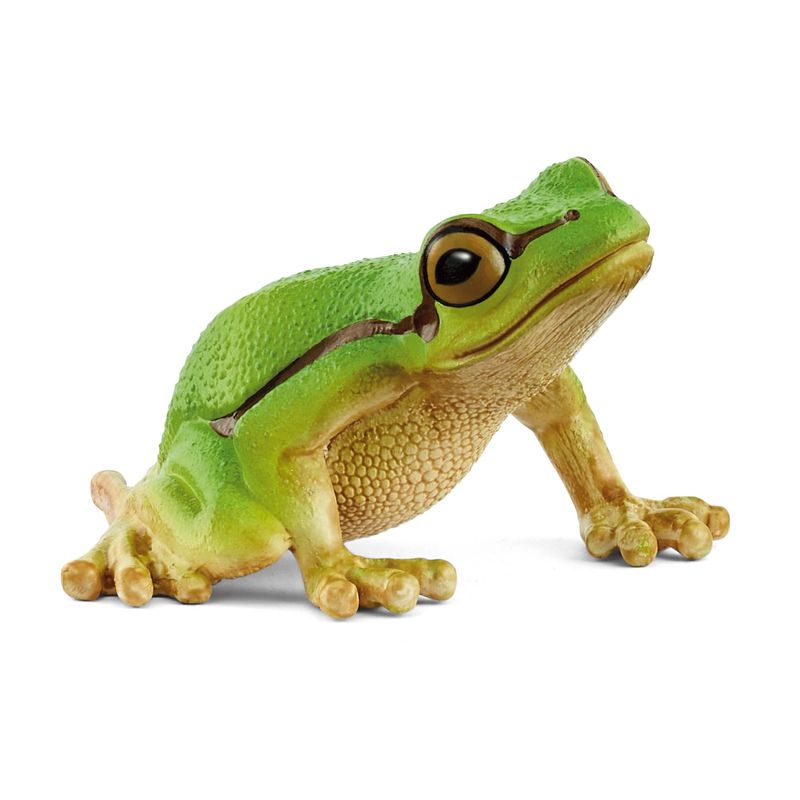 schleich Wild Life European Tree Frog 14882 Detailed Animal Figures Zoo ...