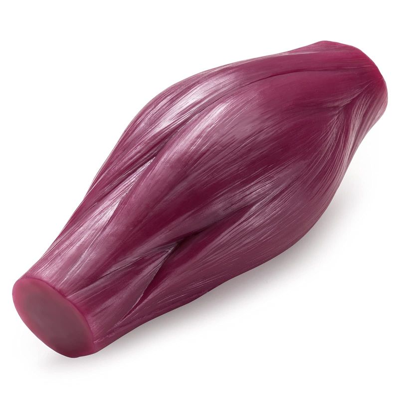 Human Body Muscle Replica Model - 1 lb to Keep Fit & Fitness ...