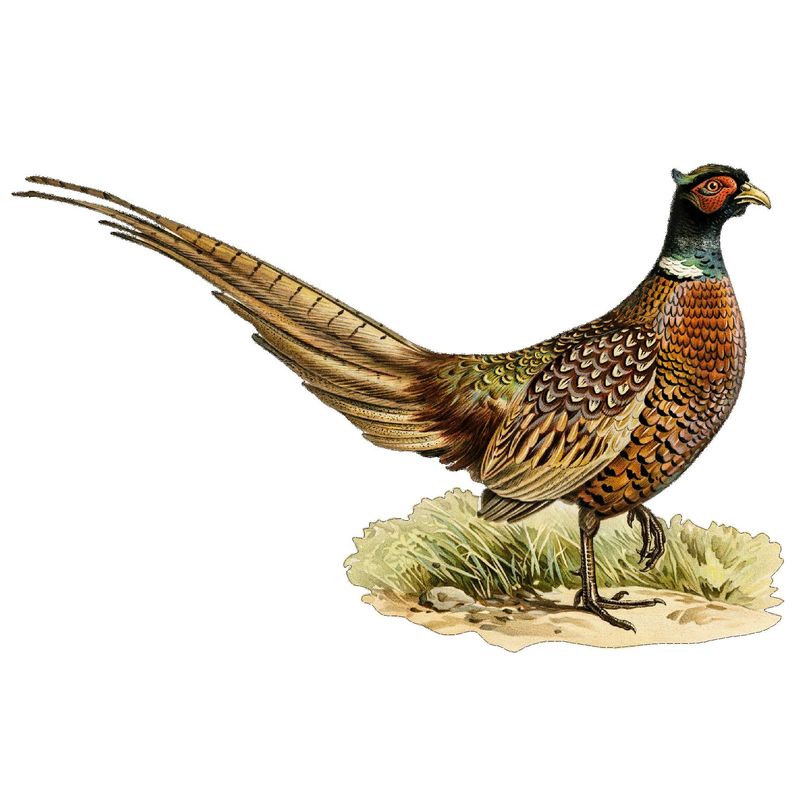 LightningSigns Pheasant Country Gamekeeper Hunting Car Van 4x4 Pick Up ...