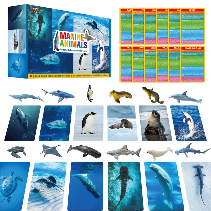 12 PCS Plastic Marine Animal Figurines with 12 Introduction Flashcards ...