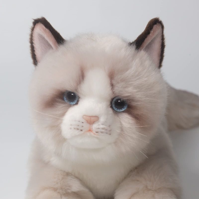 CU-MATE 20 Inch- Gray Ragdoll Cat Plush Stuffed Animal Toys -Realistic ...